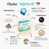 Alpha-B | อาหารเสริมบำรุงสมอง เสริมความจำ พ่อแม่ กว่า 30,000 รายไว้วางใจ